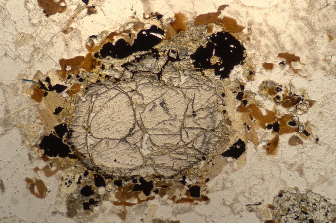 Magnetite Thin Section